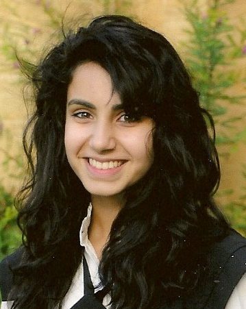 Judges keep out: off-the-bench influence on the UK’s anti-terror regime ...